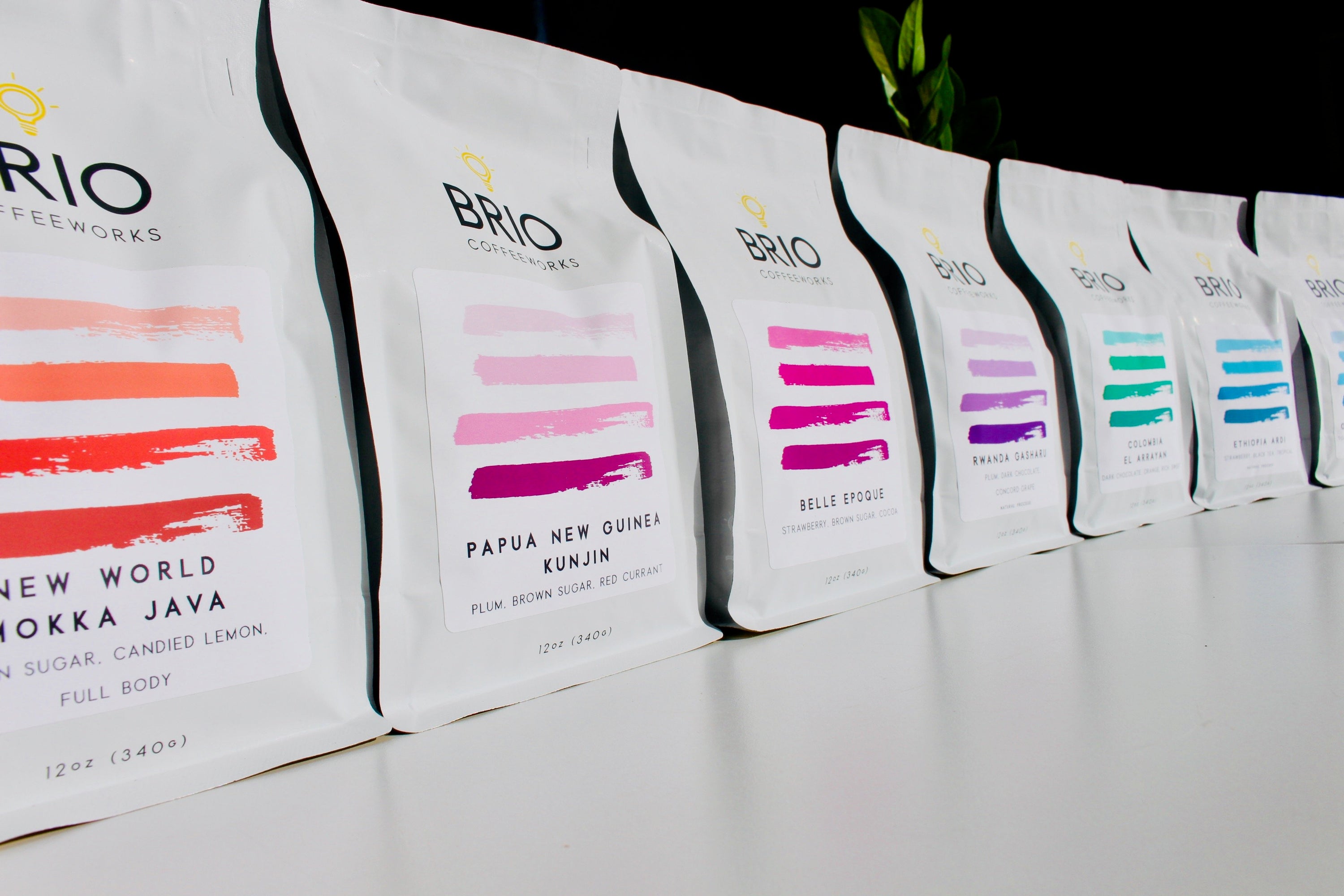 Brio Coffeeworks | Specialty Coffee Roastery in Burlington, Vermont